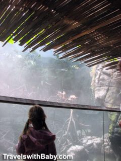 Tips for visiting New York's Bronx Zoo with babies and small children ...