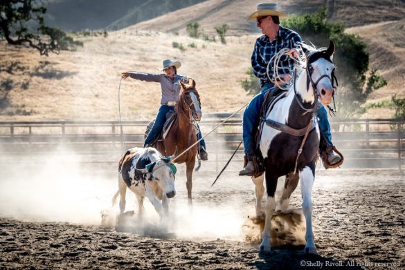 Grit and Glory: Rodeo Night at The Alisal Guest Ranch (in Photos)