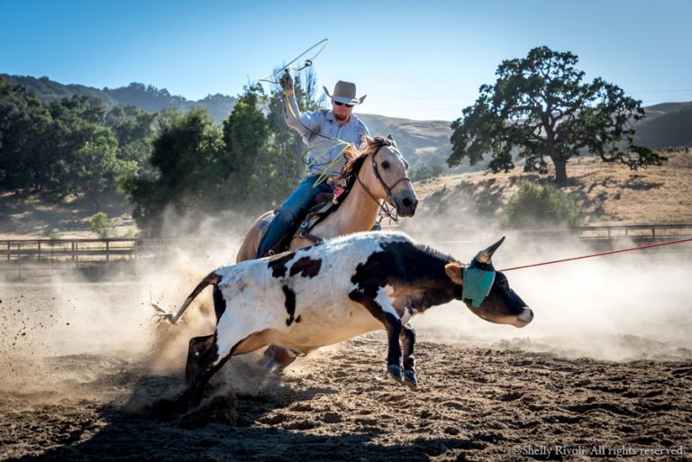 Grit and Glory: Rodeo Night at The Alisal Guest Ranch (in Photos)