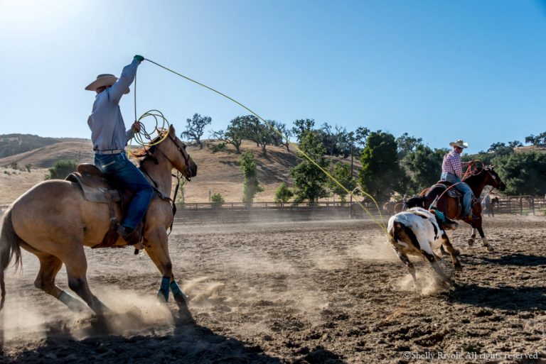 Grit and Glory: Rodeo Night at The Alisal Guest Ranch (in Photos)