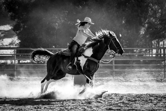 Grit and Glory: Rodeo Night at The Alisal Guest Ranch (in Photos)