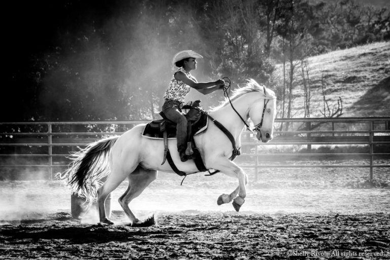 Grit and Glory: Rodeo Night at The Alisal Guest Ranch (in Photos)