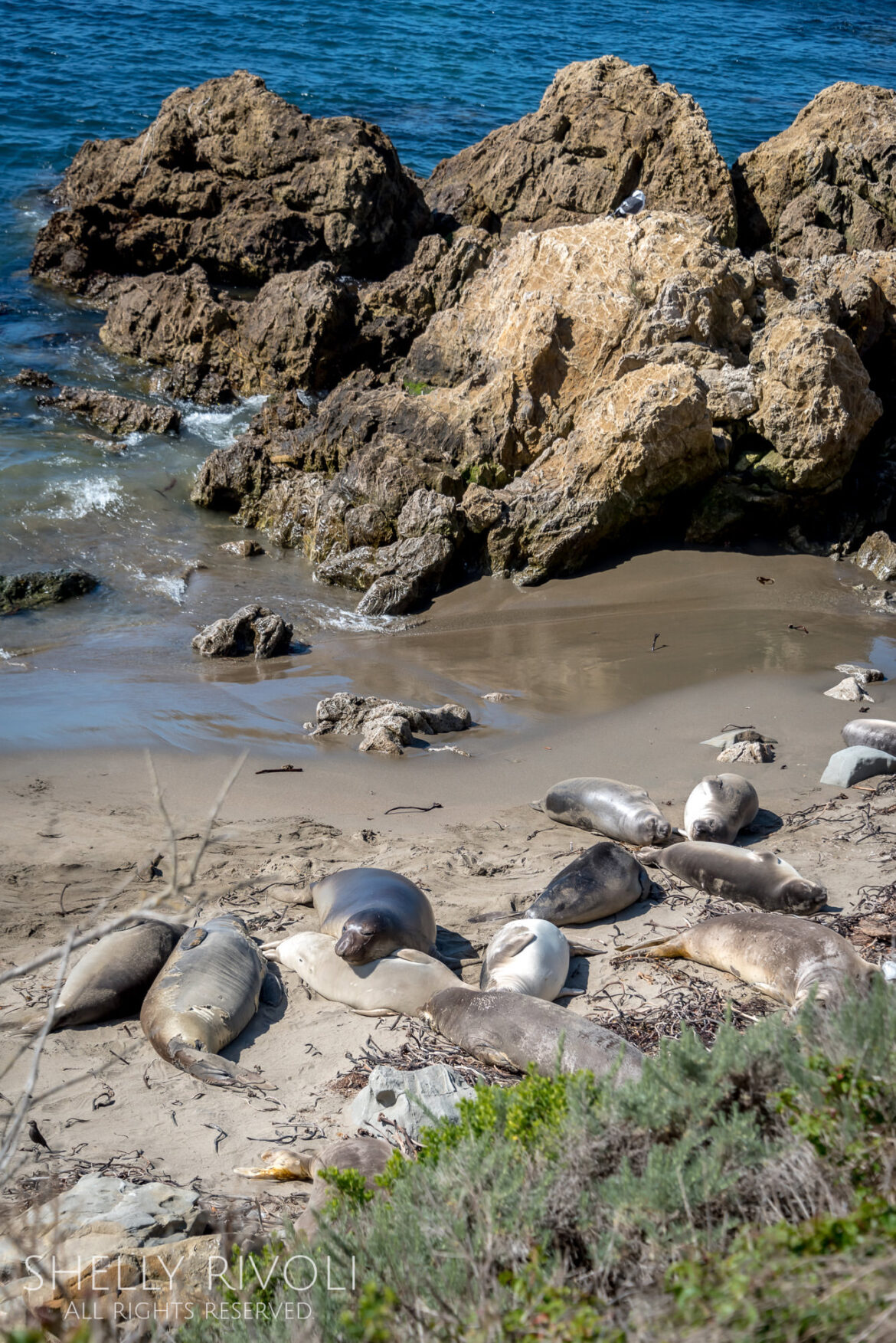 Announcing my new "Hiking with Kids Southern California" guidebook ...